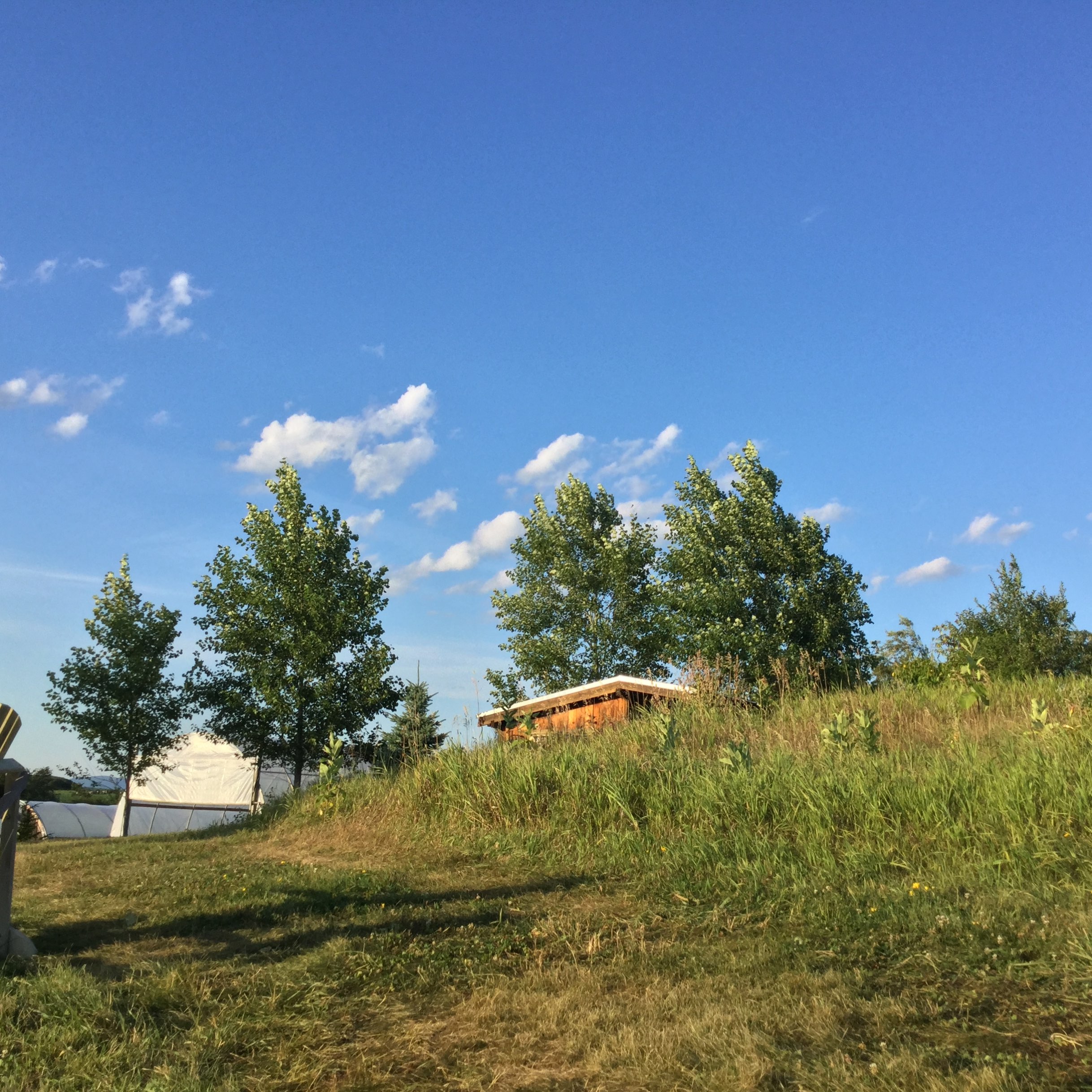 Addison County 2023 Top Things to Do - Addison County Travel Guides ...