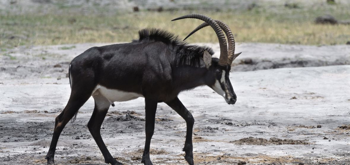 Babati Travel Guide 2024 - Things to Do, What To Eat & Tips | Trip.com