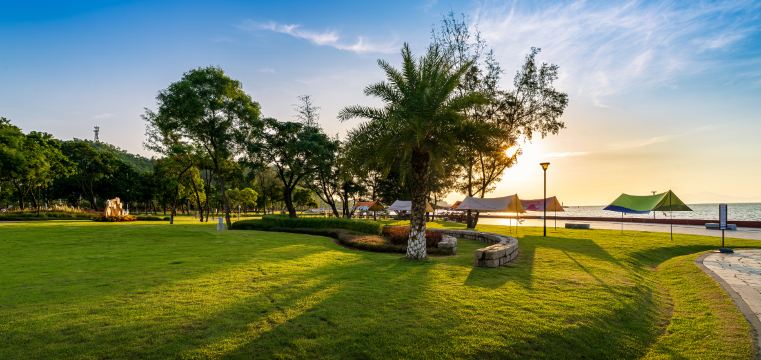 Things to do in Qi'ao Island (2025): Top nearby activities,popular ...