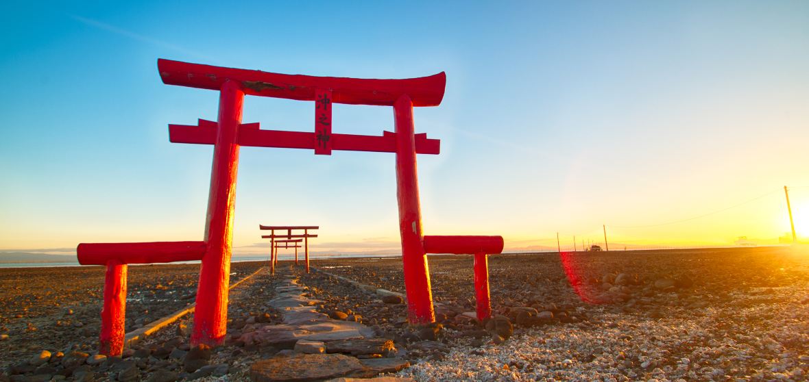 Things to Do in Tara in 2024 - Top Attractions, Local Food, Hotels ...