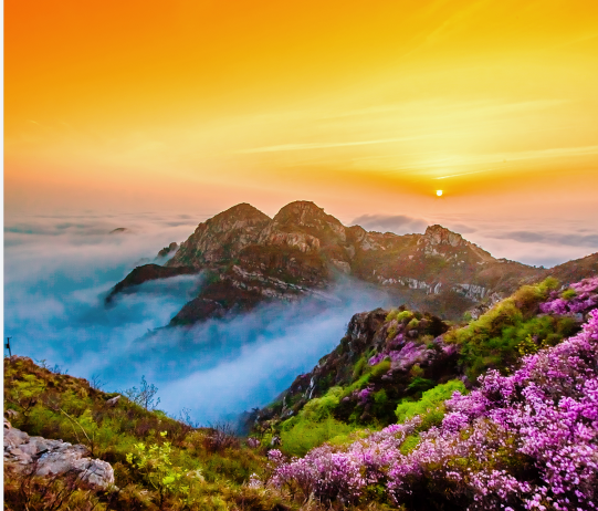 Dahei Mountain Scenic Area Tickets [2025] - Promos, Prices, Reviews ...