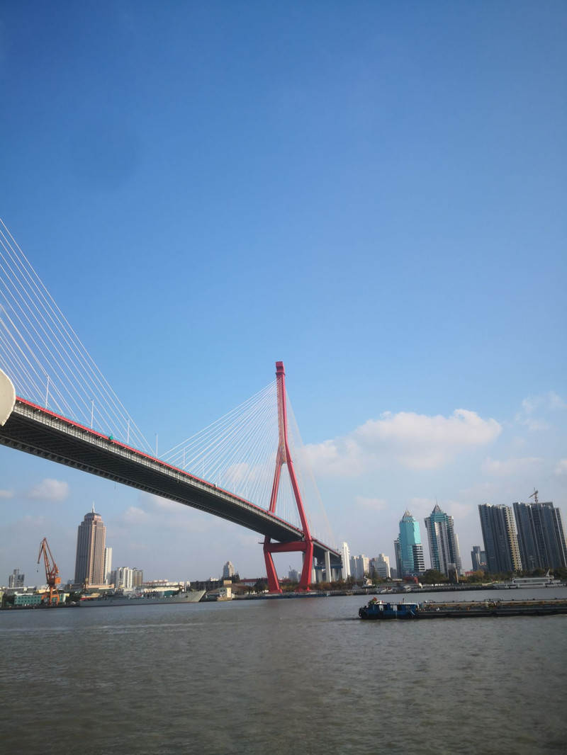 Yangpu Bridge