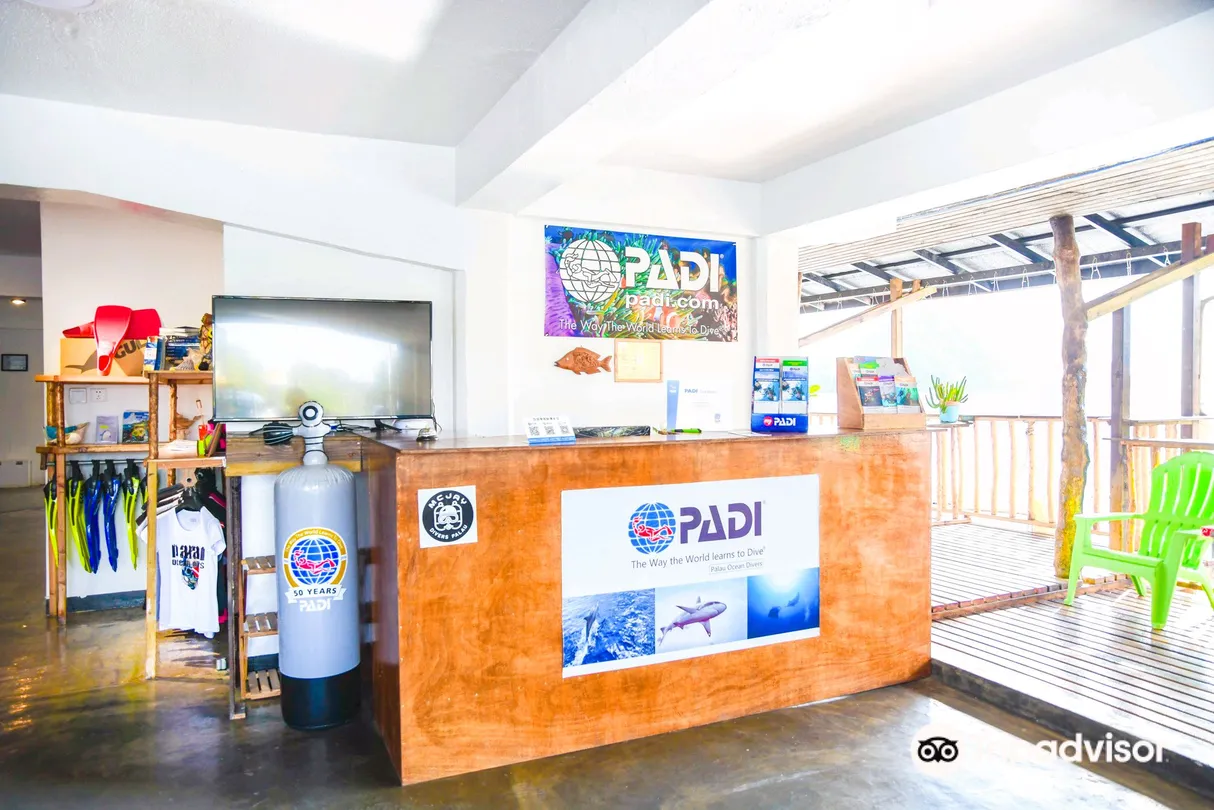 Palau Ocean Divers Tickets [2025] - Promos, Prices, Reviews & Opening ...