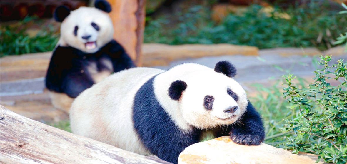 Things to Do in Wujin District in 2025 - Top Attractions, Local Food ...