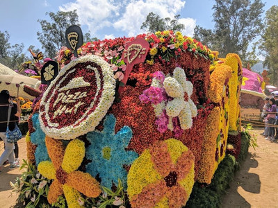Flower Festival In Baguio 2017 | Best Flower Site
