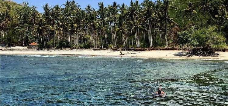 Gamat Bay | Trip.com Bali Travelogues