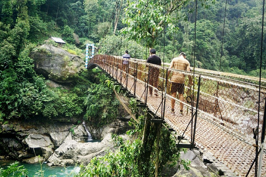 Journey to Lush greenery | Trip.com Sikkim