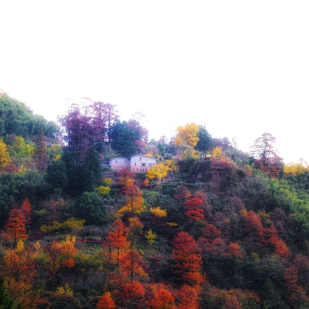 Yuyao 2023 Top Things to Do - Yuyao Travel Guides - Top Recommended ...