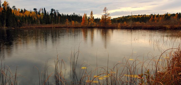 Kenora District Independent Travel Guide (2025): Top Things to Do Near ...