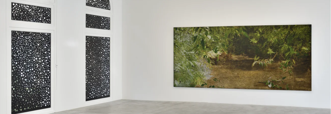 Daniel Boyd: Dream Time | Marian Goodman Gallery: Tickets, Dates ...