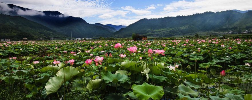 Things to Do in Pucheng in 2025 - Top Attractions, Local Food, Hotels ...