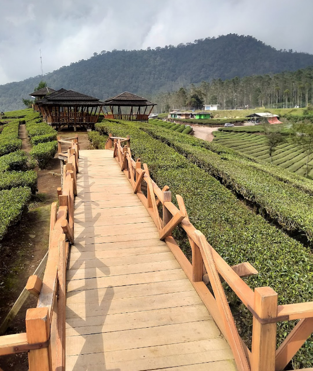 Wayang Windu Bike Park - 운영 시간, 후기 & 사진 [2024년] | Trip.com