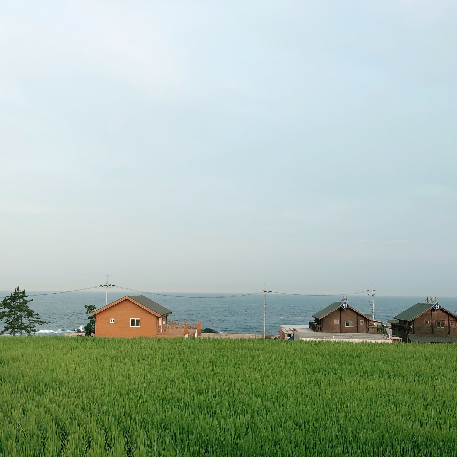 Pohang 2023 Top Things to Do - Pohang Travel Guides - Top Recommended ...