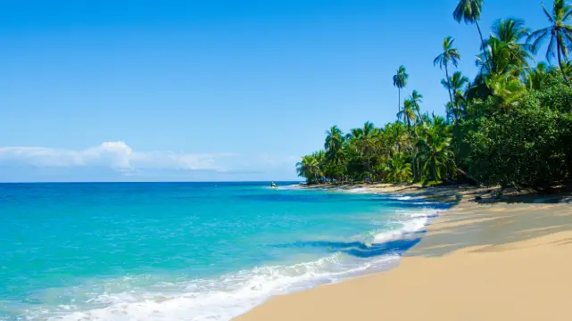 Jambiani Beach - Tickets, Opening Hours, Reviews & Photos [2024] | Trip.com