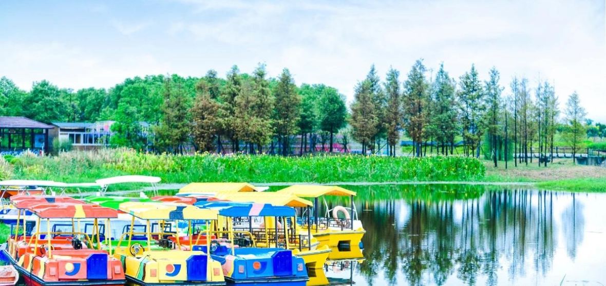 2024 Honghu Meilleures choses à faire - Honghu : guide touristique 2024 ...