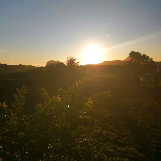 Curepipe Travel Guide 2023 - Things to Do, What To Eat & Tips | Trip.com