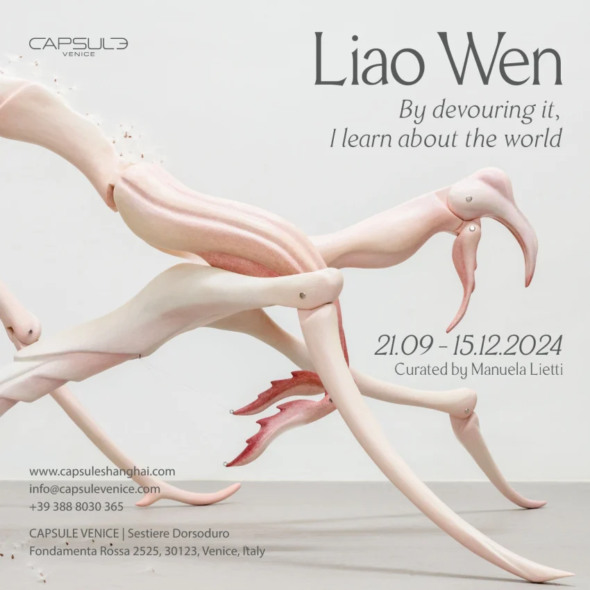 《廖雯：有一天，我發現自己認識世界的方式是生吞》展覽 | 威尼斯: 日期及行程 | Trip.com