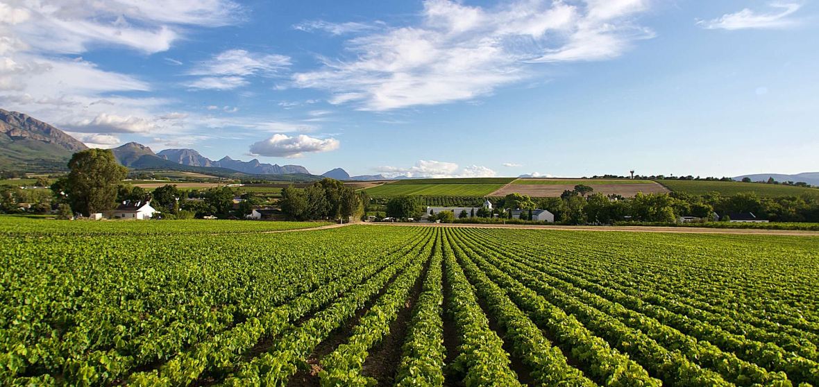 Things to Do in Longchi Mountain/Baichang Ecological Park Scenic A in ...