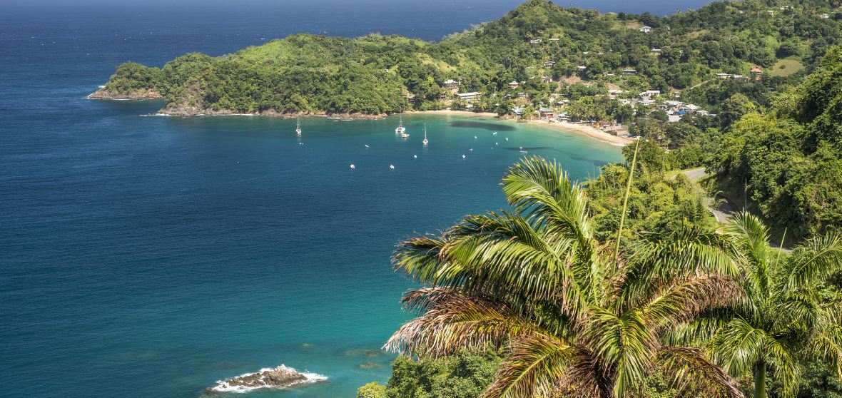 Tobago Travel Guide 2026: Top Attractions, Things to do & Itinerary ...