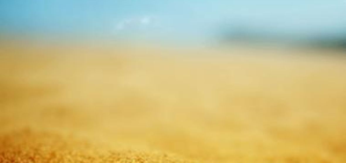 Gyugy Travel Guide 2023 - Things to Do, What To Eat & Tips | Trip.com