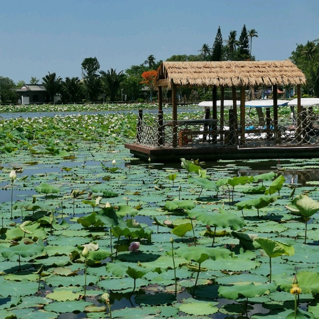 Danzhou Travel Guide 2023 - Things to Do, What To Eat & Tips | Trip.com