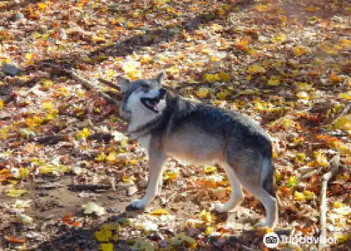 réductions sur les billets de Blueberry Hill, prix et frais ...