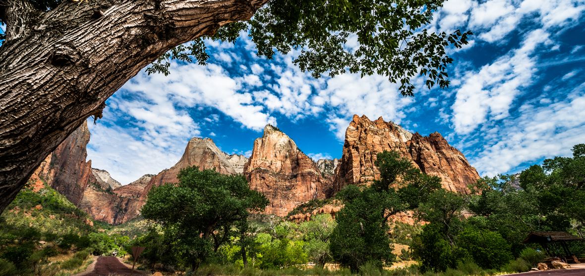 เที่ยวZion National Park (2024) - ที่เที่ยวใน Zion National Park ...