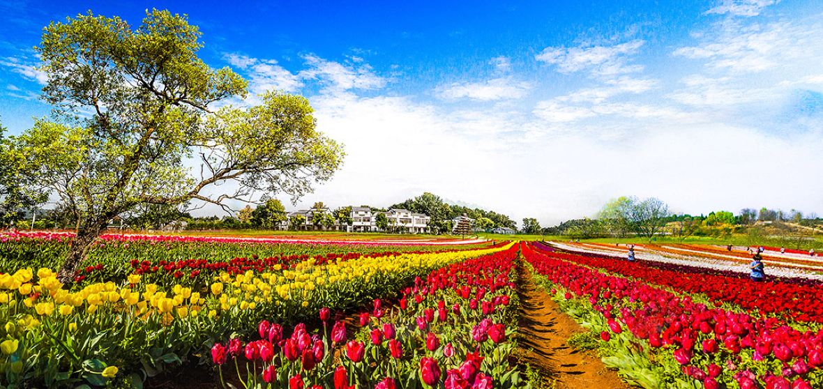 Huangpi District Travel Guide 2025: Top Attractions, Things to Do ...