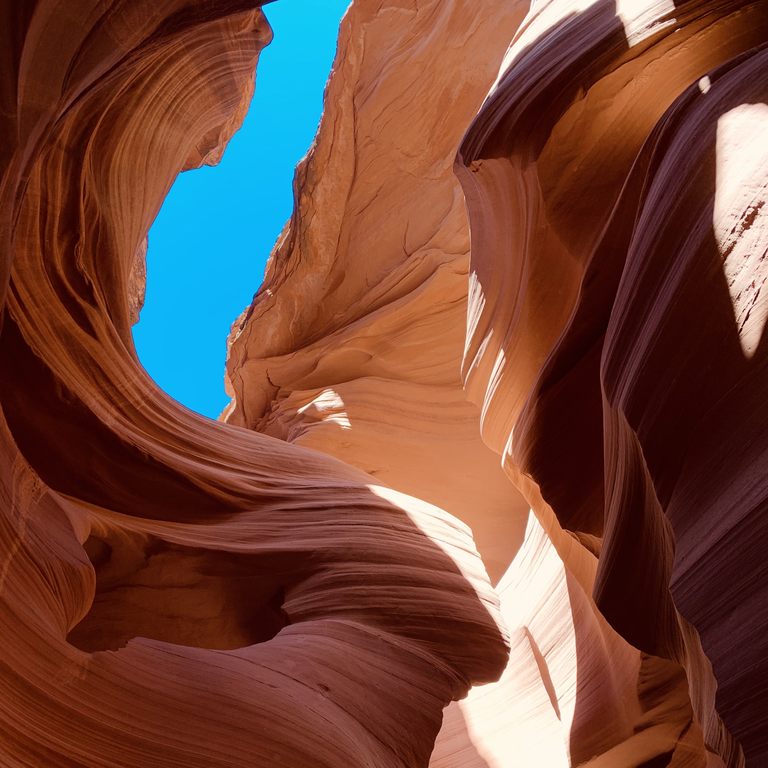 Things to Do in LeChee in 2024 - Top Attractions, Local Food, Hotels ...