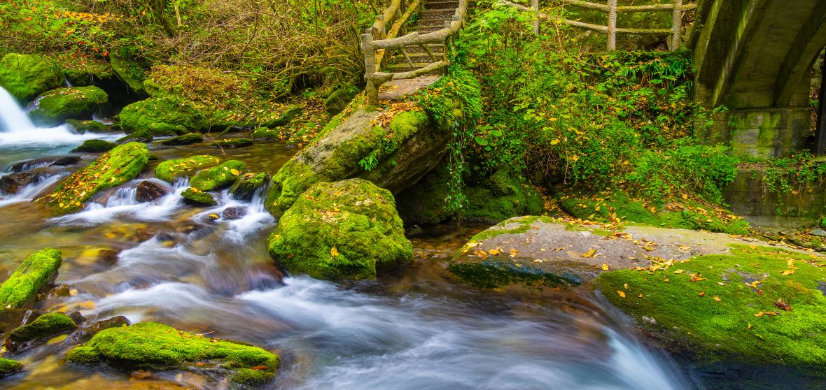 Things to Do in Muyu town commercial street/Muyu town bus station in ...