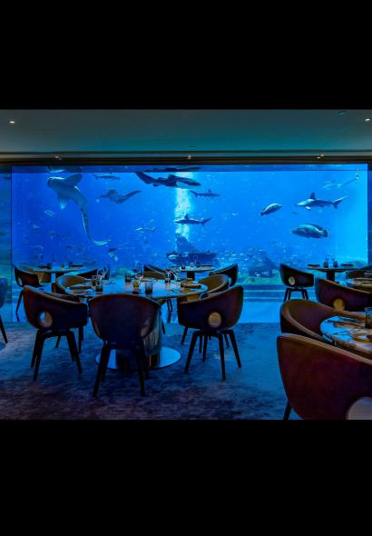 OSSIANO UNDERWATER RESTAURANT & BAR (HaiTang Bay/CDF Mall/Hou Hai ...