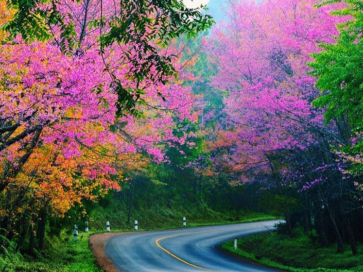 Fang 2023 Top Things to Do - Fang Travel Guides - Top Recommended Fang ...