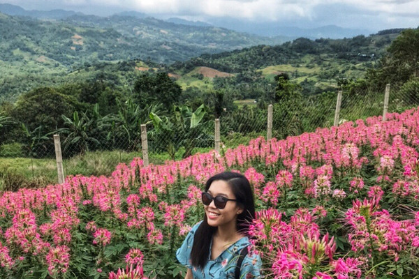 Flower Garden Cebu City | Best Flower Site