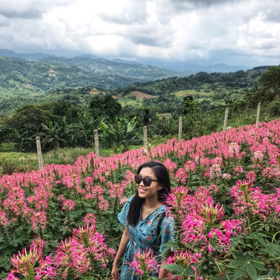 Flower Farm Cebu City | Best Flower Site