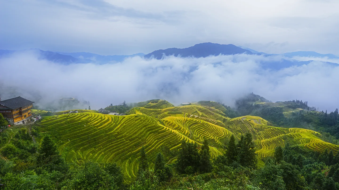 réductions sur les billets de Seven Stars Accompanying the Moon Viewing ...