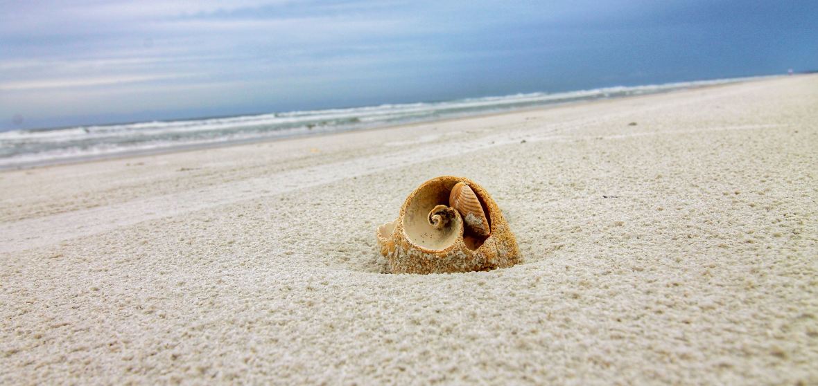 Neptune Beach Travel Guide 2025: Top Attractions, Things to Do & Deals ...