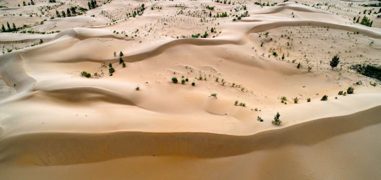 Things to Do in Kubuqi Desert Park in 2024 - Top Attractions, Local ...