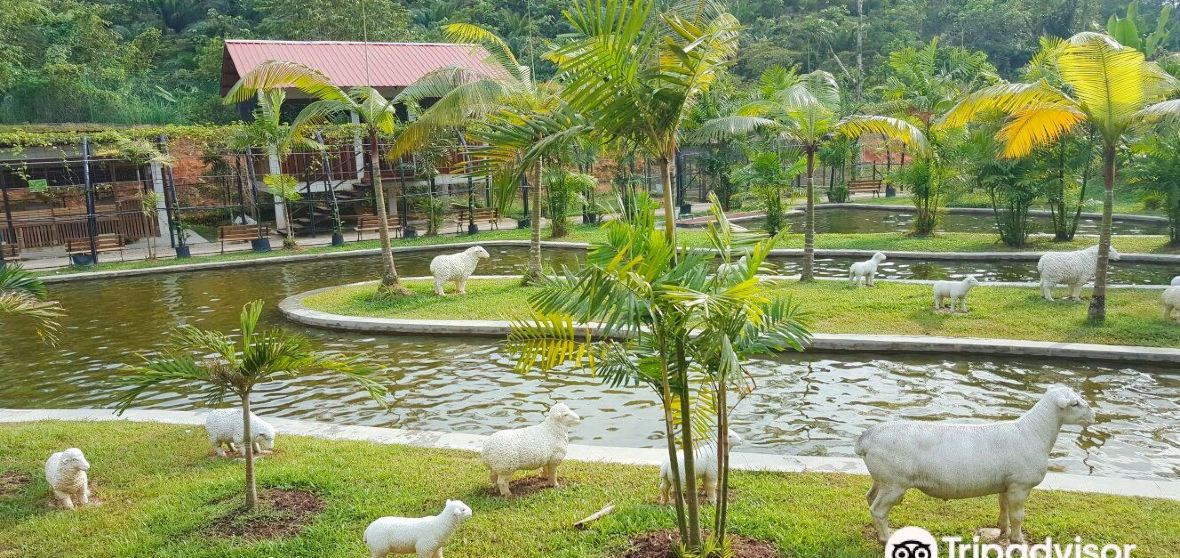 Temoh Travel Guide 2025: Top Attractions, Things to Do & Deals | Trip ...