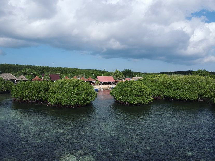 Mangrove Point | Trip.com Bali Travelogues