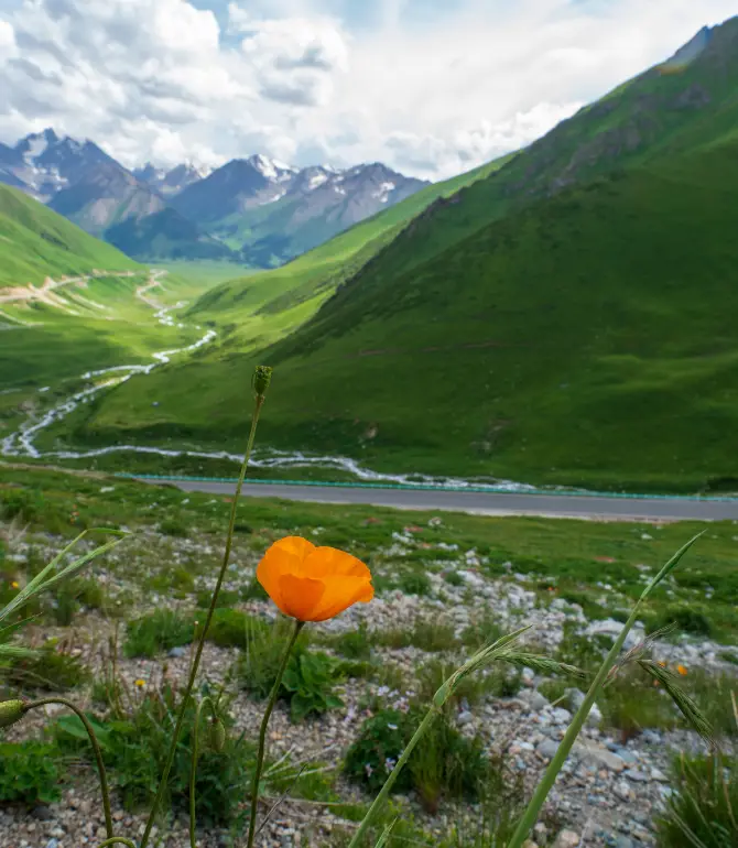 Northern Xinjiang Independent Travel Guide (2025): Top Things to Do ...