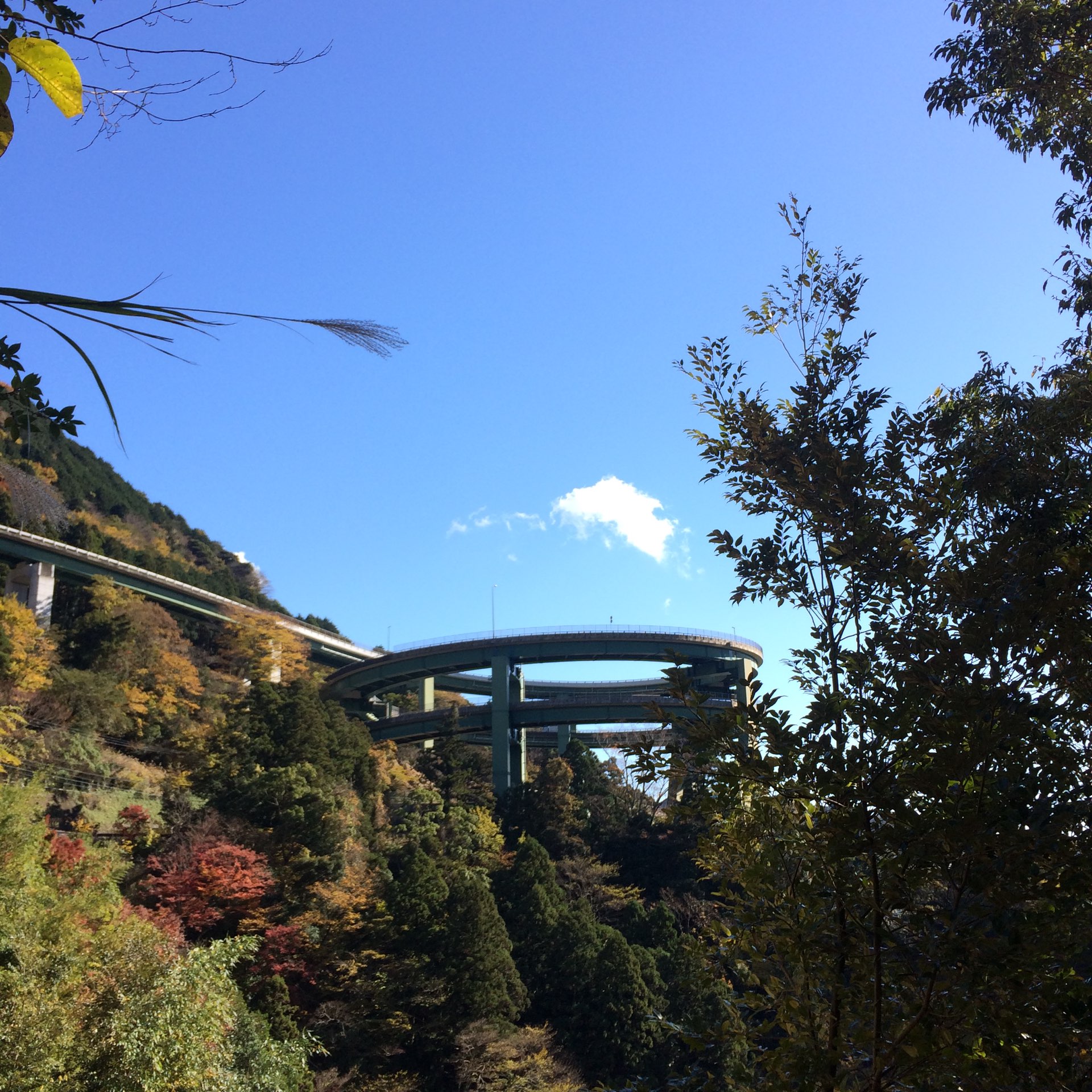 Izu Peninsula Travel Guide 2024 - Things to Do, What To Eat & Tips ...