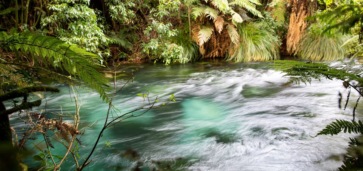 แนะนำการเดินทาง Tapapa 2024 - สิ่งที่ควรทำ, อาหารที่ควรรับประทาน & ทิป ...