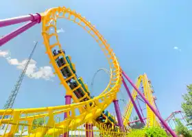 Palisade Bluegrass & Roots Festival 2026 Tickets [2026] - Promos ...