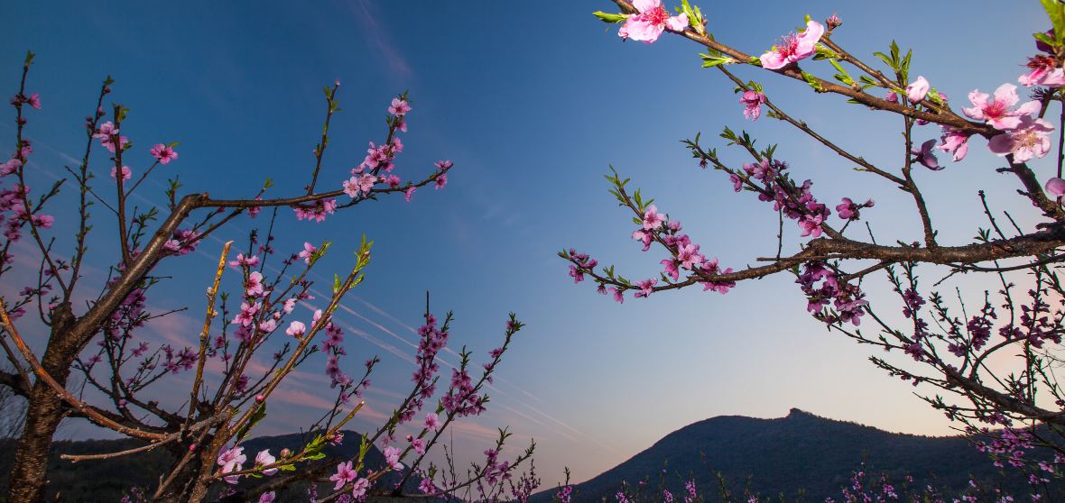 Things to Do in Fenggang Town in 2024 - Top Attractions, Local Food ...