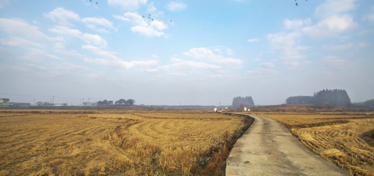 Pyeongtaek-si Travel Guide 2026: Top Attractions, Things to Do & Deals ...