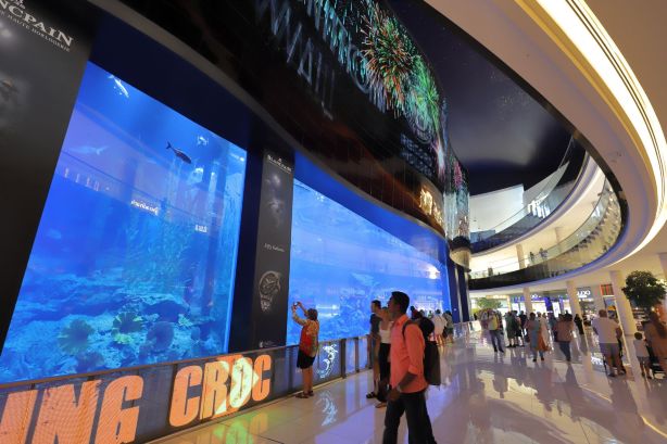 Dubai Mall Zoo