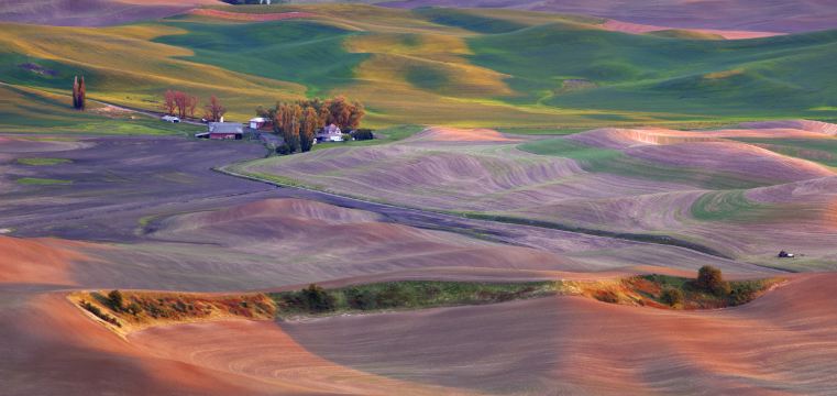 Palouse Travel Guide 2025: Top Attractions, Things to Do & Deals | Trip ...