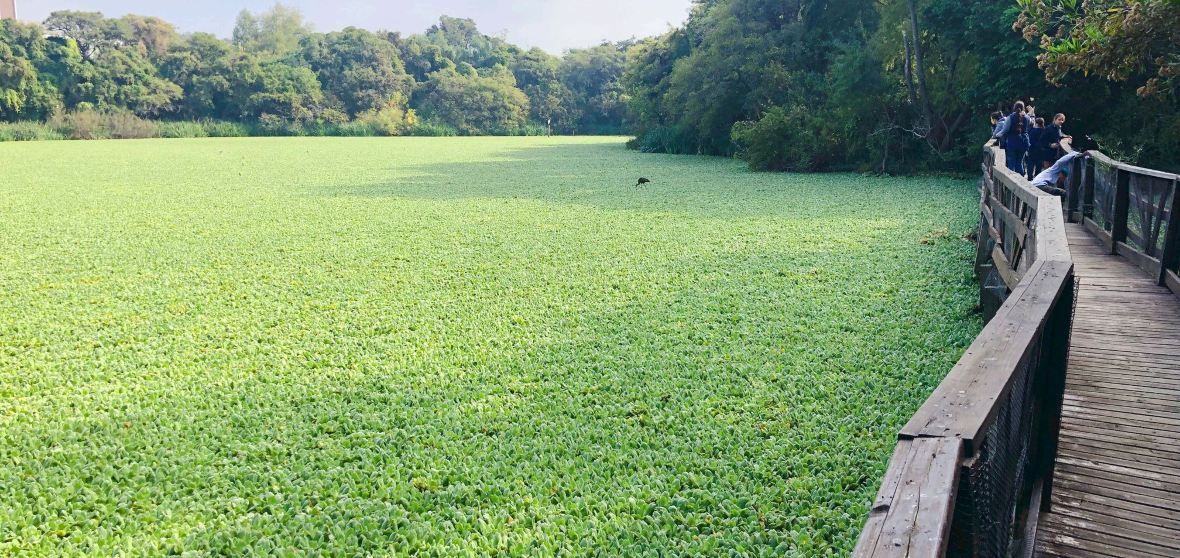 Leticia Travel Guide 2025: Top Attractions, Things to Do & Deals | Trip ...