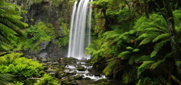 Tambunan Travel Guide 2026: Top Attractions, Things to Do & Deals ...