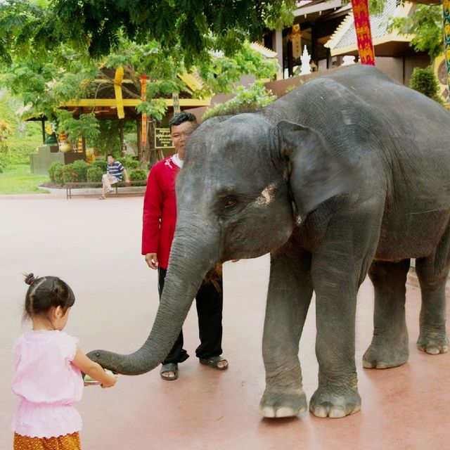 สวนไทย พัทยา Suanthai Pattaya | Trip.com พัทยา